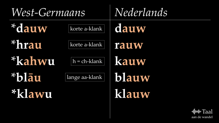 De ou en au, de ei en ij – Taal aan de wandel
